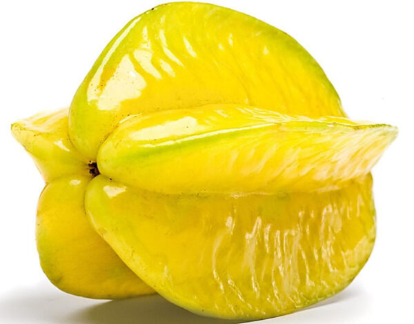 Hainan Island produces the Best Tropical Fruits in China - Hainan China ...